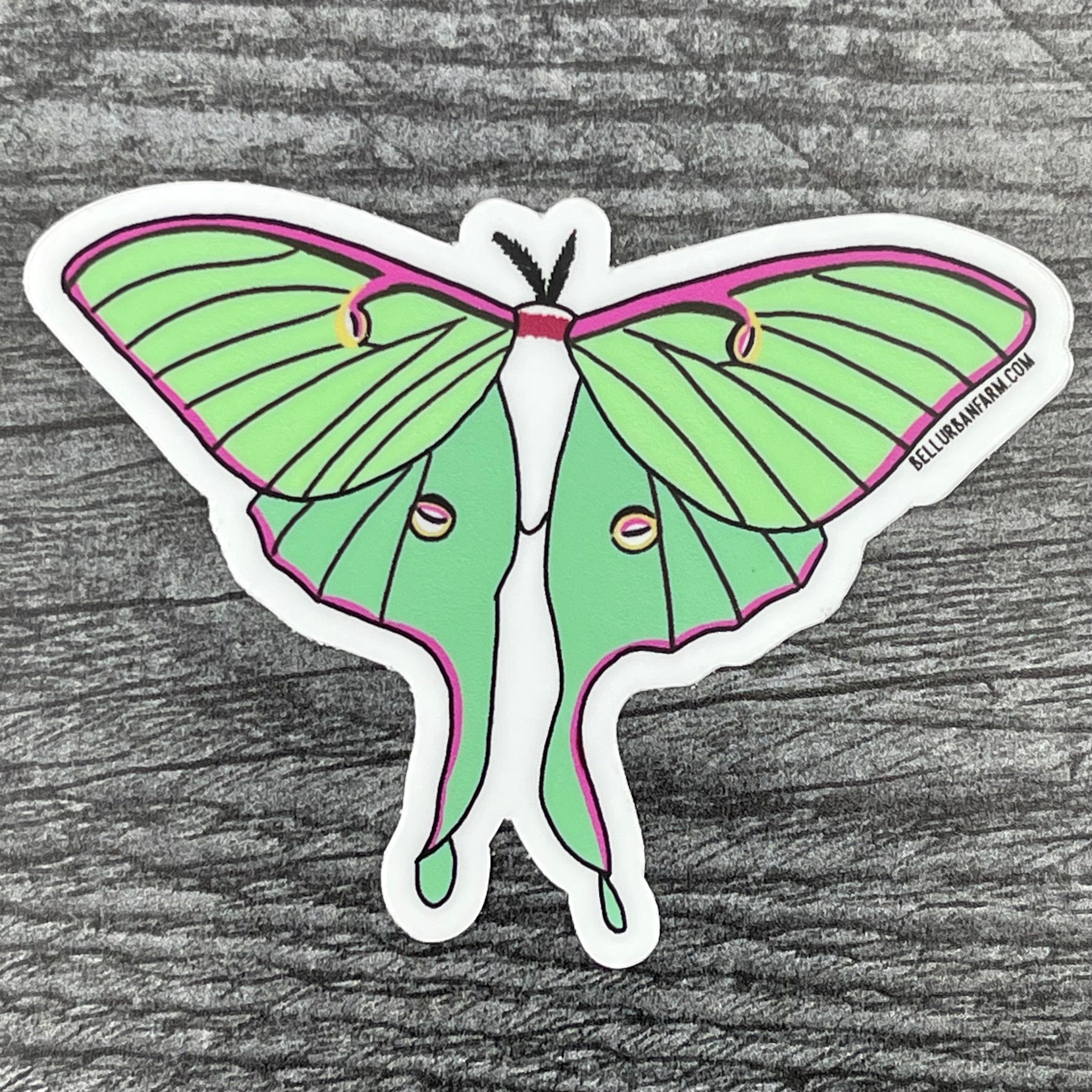 Luna Moth